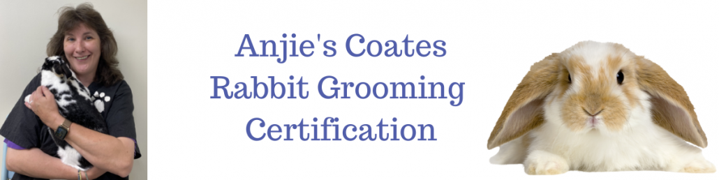 Rabbit Certification Program - Pawsitiveed