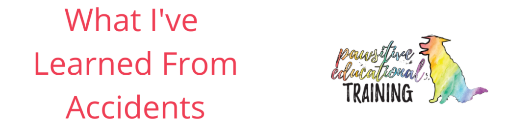 What I've Learned From Accidents Access - Pawsitiveed